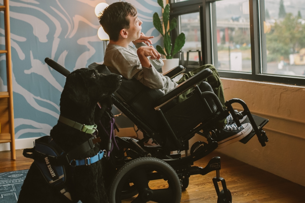 Revolutionise Disability Services with Artificial Intelligence